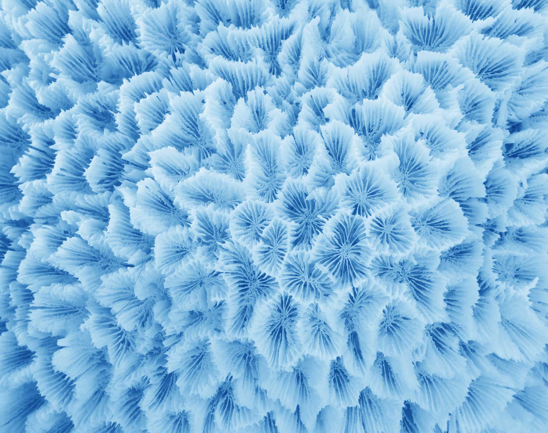 New draft Code of Practice on dismissal and re-engagement - UK People ...