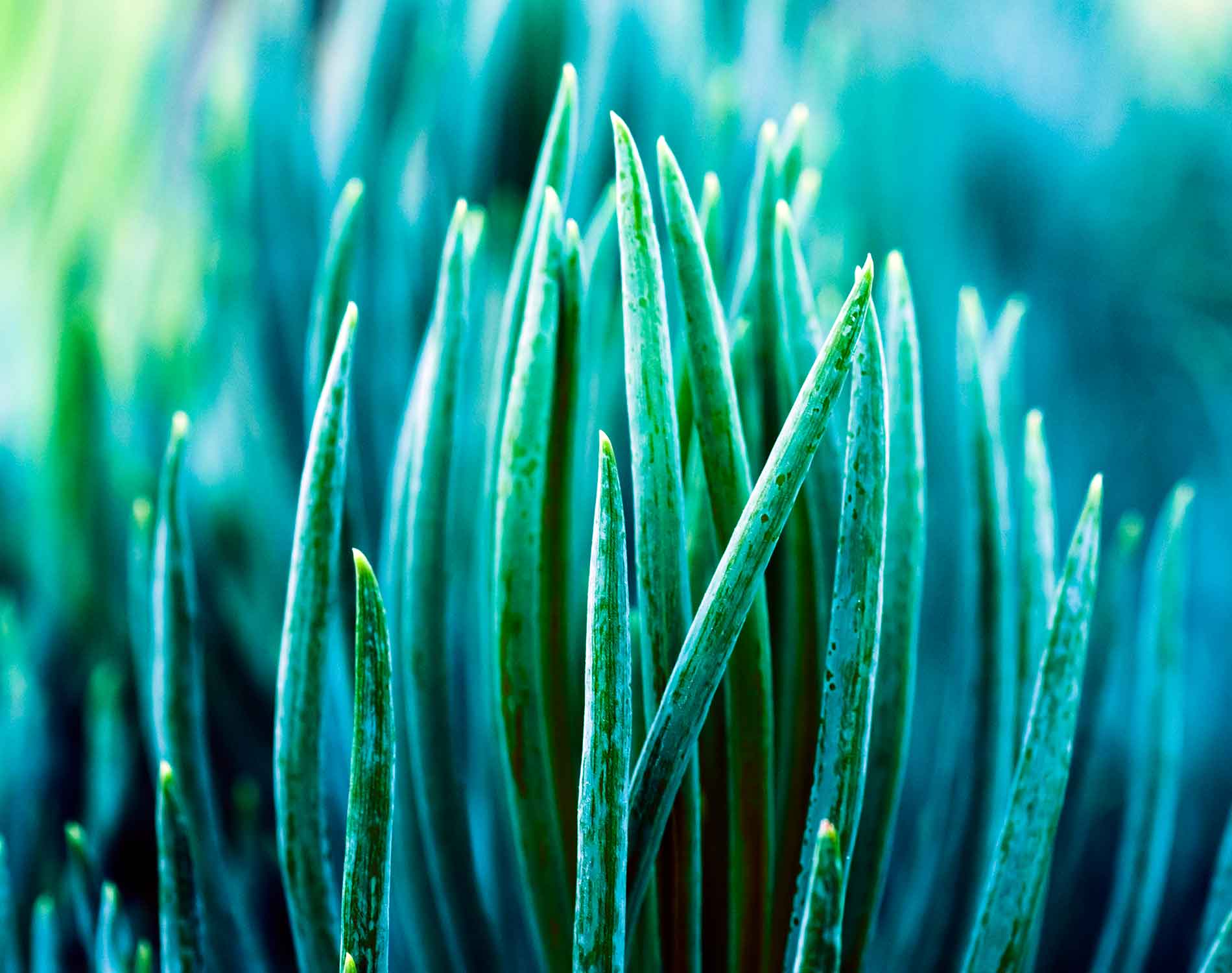 Government launches "Keep Britain Working" Review - UK People Reward ...