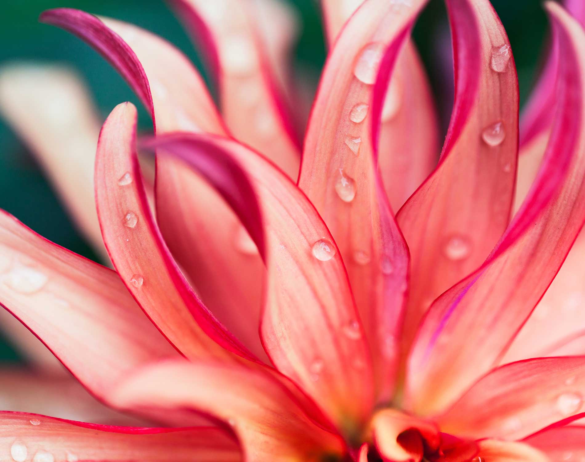 Transforming support: the Health and Disability White Paper - UK People ...